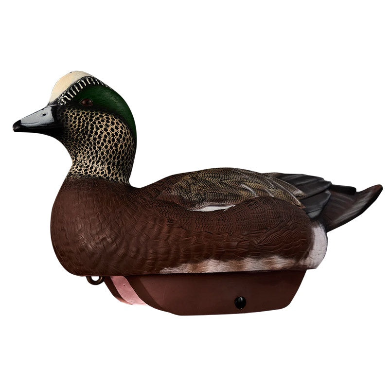 Heyday Wigeon HydroFoam Duck Decoys - 6 Packs | Sherper's