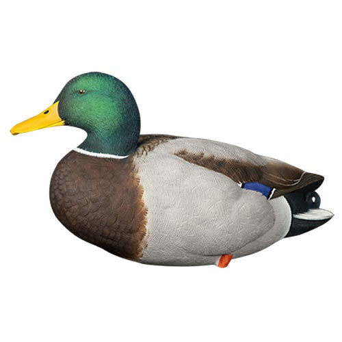 Avian-X Full Body Mallard Decoys 6 Pack | Sherper's